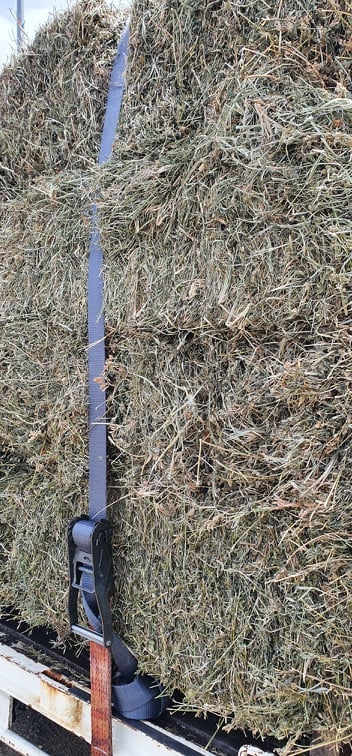 LUCERNE SQUARES - SOFT STEM | HAY2U